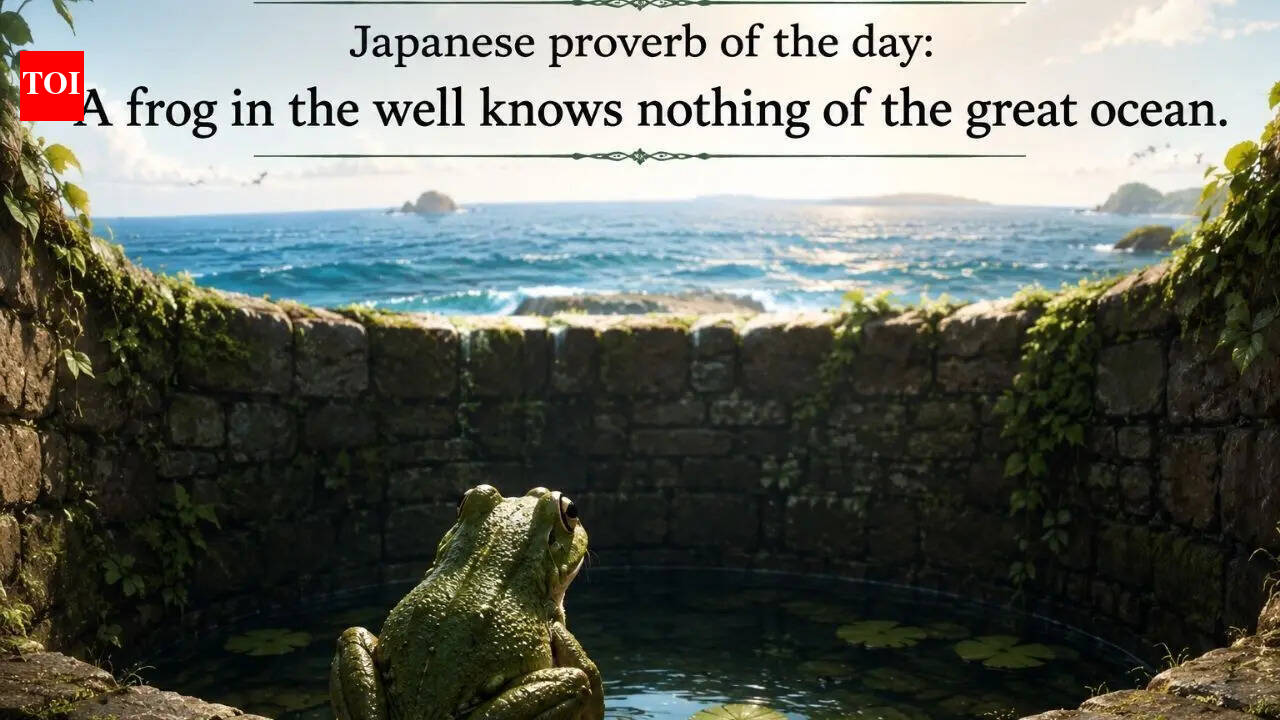 Japanese proverb of the day: "A frog in the well knows nothing of the ...
