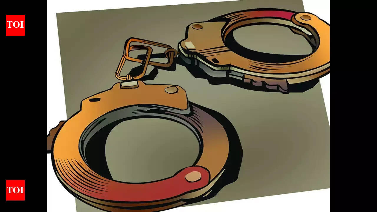 Court to hear on June 19 state’s argument over bail pleas by 3 TCS ...