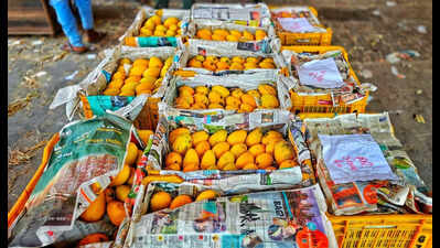 South Indian fruits festival in Trichy on June 14 | Trichy News - The ...