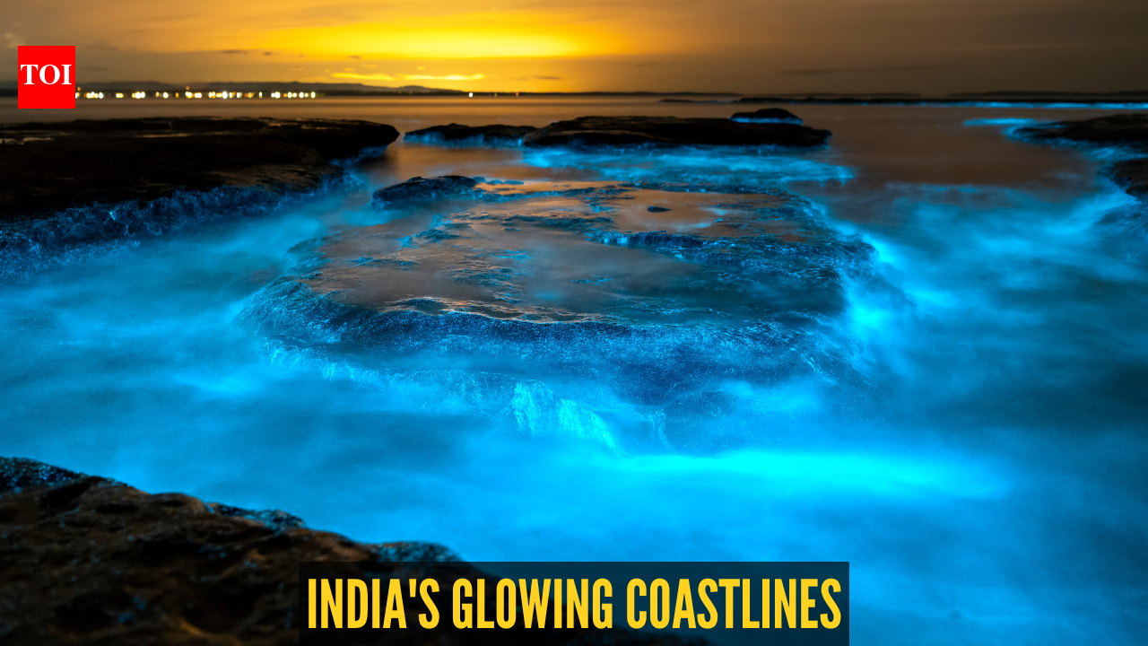 From Andaman to Goa: 6 places in India where travellers can witness the ...