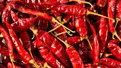 Methamidophos Exposure: China rejects Indian chilli over pesticide ...