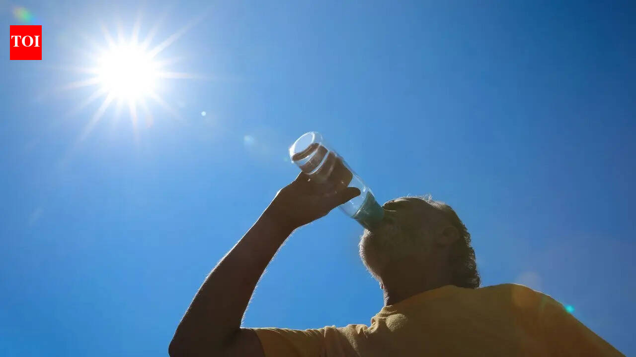 Why plain water isn't enough: 5 Things to put in your glass right now ...