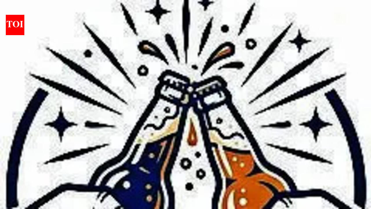 No ID scan at pubs, legal drinking age stays 21: Karnataka home ...