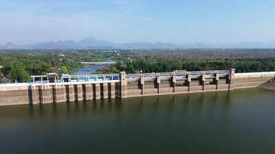 Vaigai Dam lost 15-20% of capacity to silt, says minister | Madurai ...