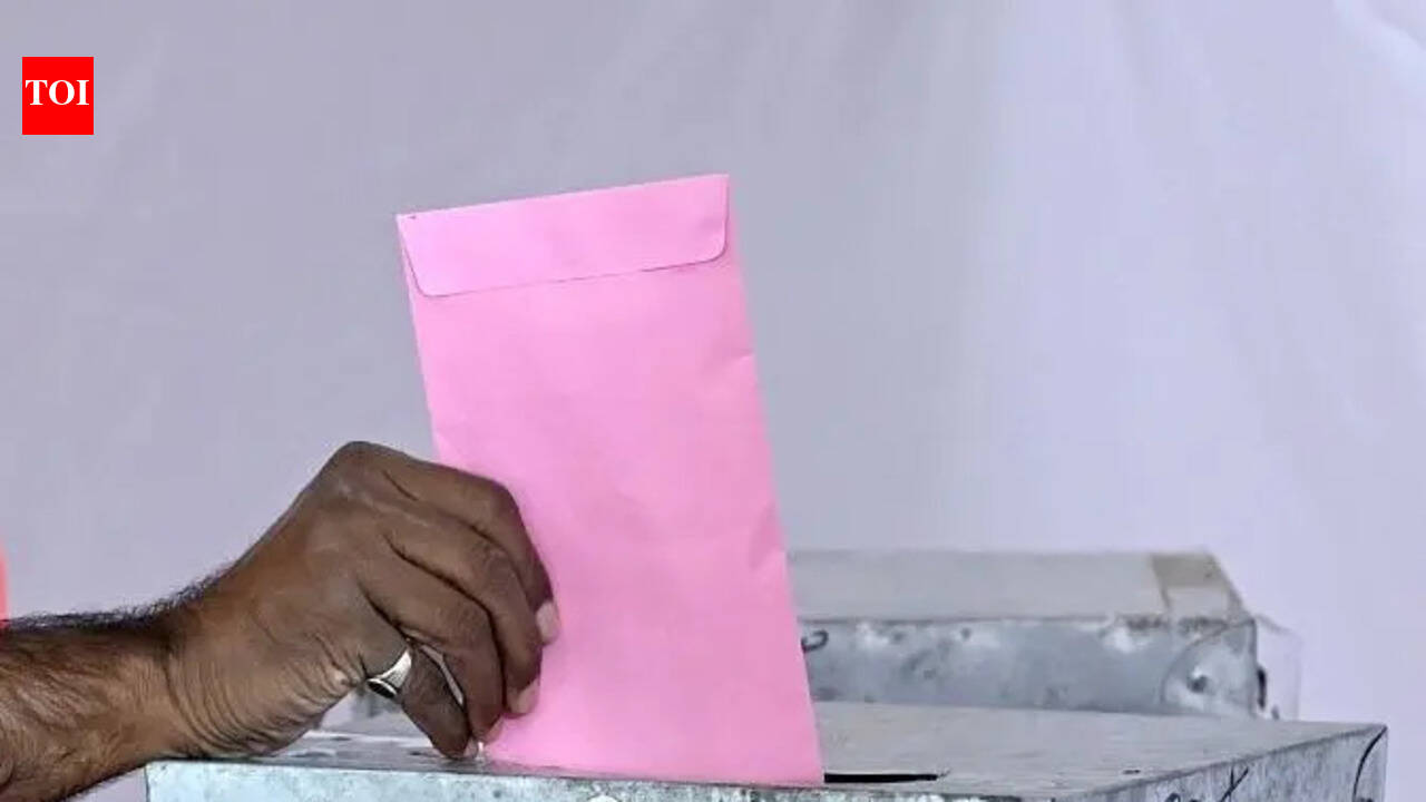 Day after high-voltage polls, Hisar bar body office bearers assume ...