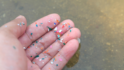 Can microplastics affect your ability to conceive? What fertility ...