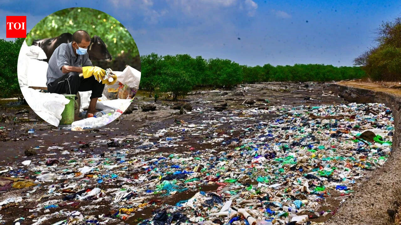 Tides of trash: Elephanta Island battles mounting waste crisis as ...