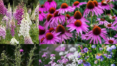 Pollinating Insects: 10 Best plants to attract pollinating insects to ...