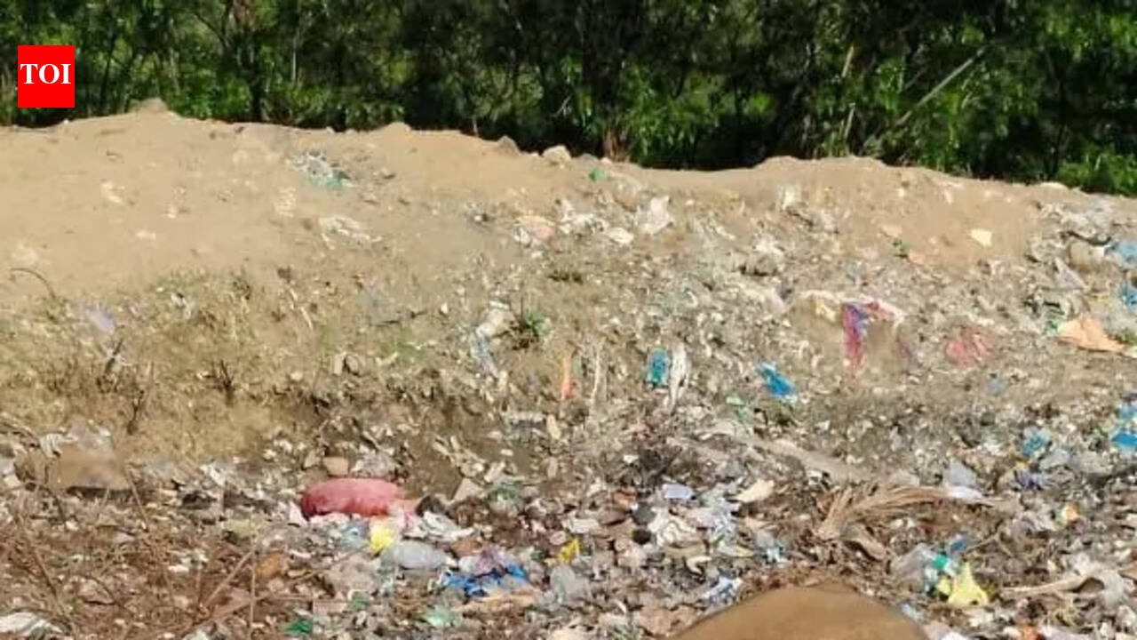 Viral video: Elephant scavenges plastic waste in Karnataka, sparks ...