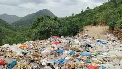 Viral video: Elephant scavenges plastic waste in Karnataka, sparks ...