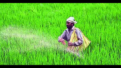 Fertiliser shops in Kolhapur shut as opposition grows to mandatory ...