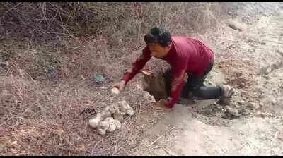 10-Foot Python and Eggs Rescued from Farmer’s Field in Barwani District ...