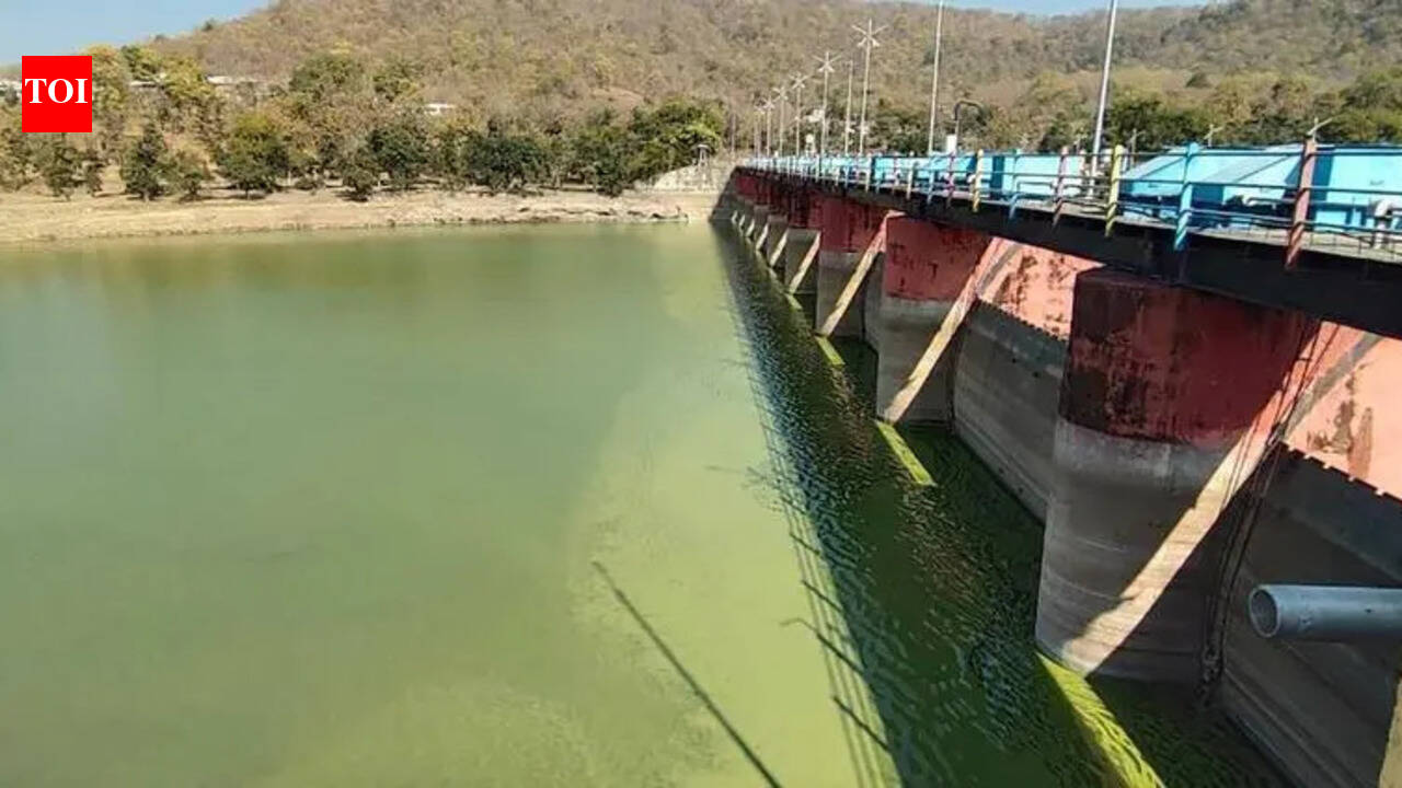 Nagpur Water Safe Till August; Govt Takes Cautious Call On Irrigation ...