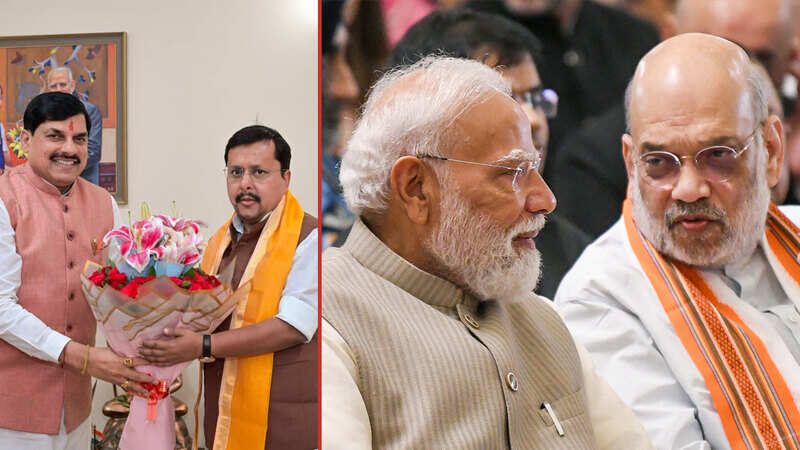 BJP Prepares for Possible Early Elections in Key States Ahead of Census ...