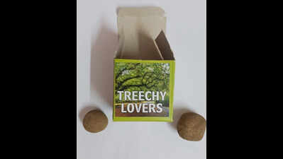 600 seed balls ready for monsoon plantation in Trichy | Trichy News ...