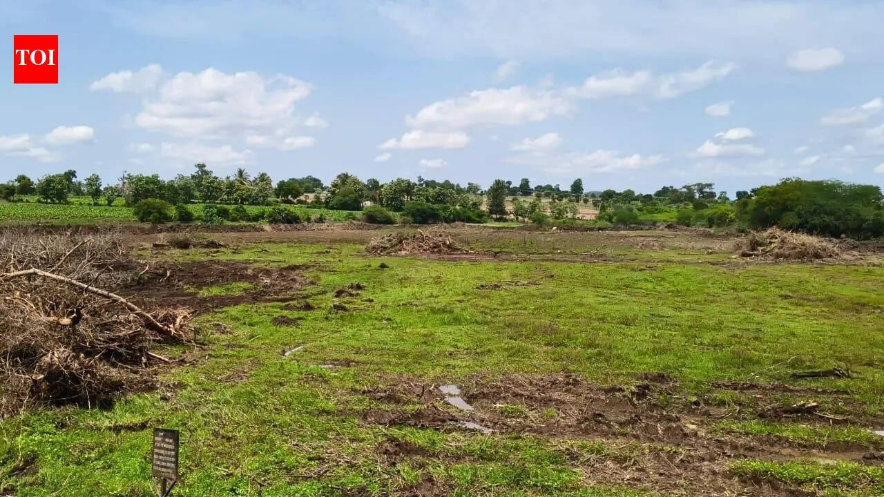 Tribal belt in Saraguru taluk to get 100-bed hospital | Mysuru News ...