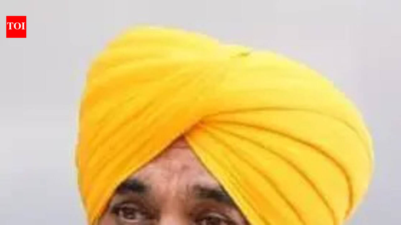 Punjab’s doorstep initiative delivers 3.1L govt services | Chandigarh ...