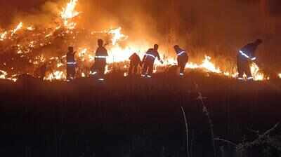 Forest guard dies in gorge fall after dousing forest fire | Dehradun ...
