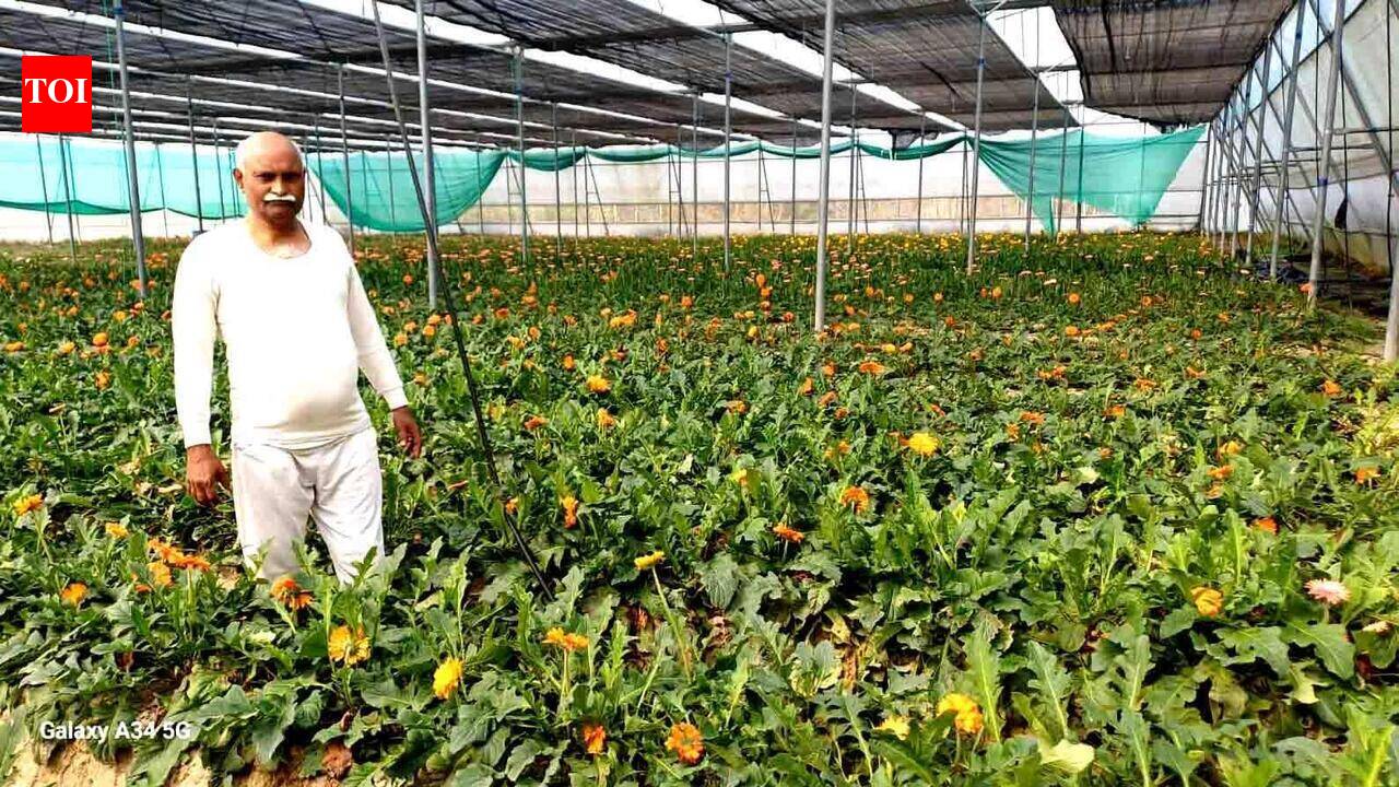 ‘Jai Jawan-Jai Kisan’ in action: Ex-army officer converts wasteland ...