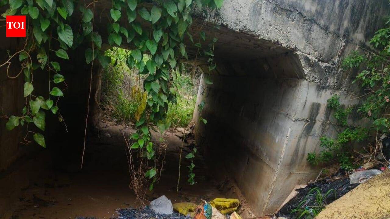 Minister orders criminal charges against those dumping waste into rural ...
