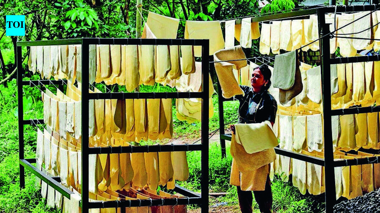 Rubber support price stretched to ₹250 | Kochi News - The Times of India