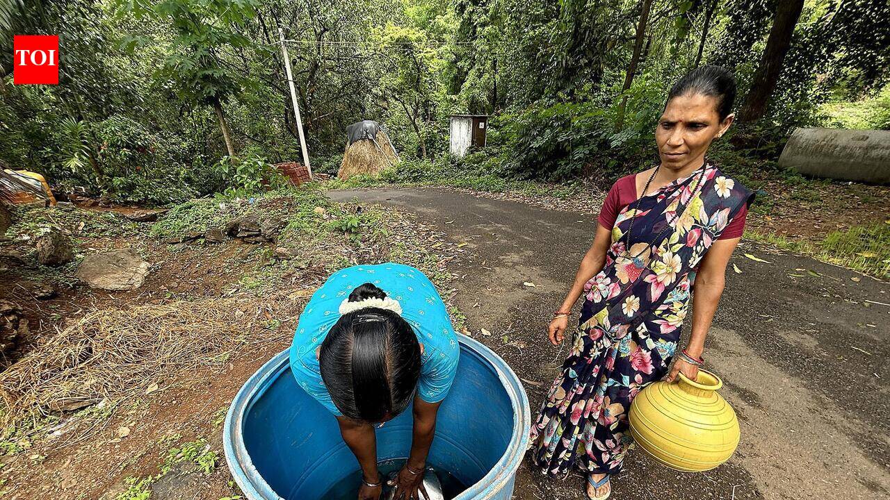 In green Canacona, women still walk miles for water, others wait for ...