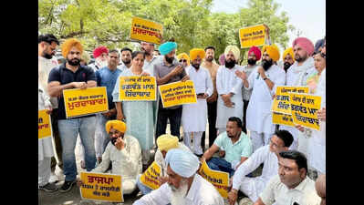 Mann video: AAP activists stage stir against SAD | Chandigarh News ...