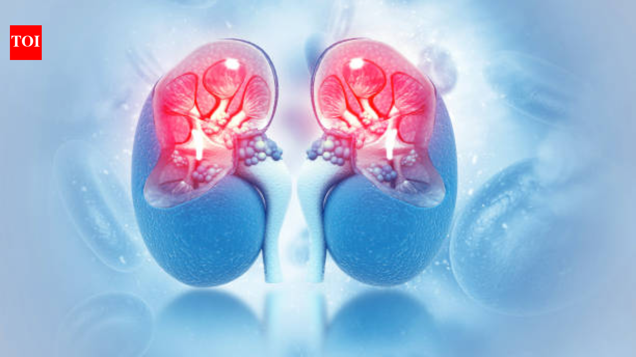 Do protein powders damage kidneys? Doctor explains what’s excess and ...