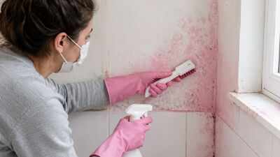 Pink mould in the bathroom: What is it and kitchen ingredients that can ...