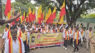 KRV protests against MES demand, seeks ban on ‘anti-Kannada’ groups ...