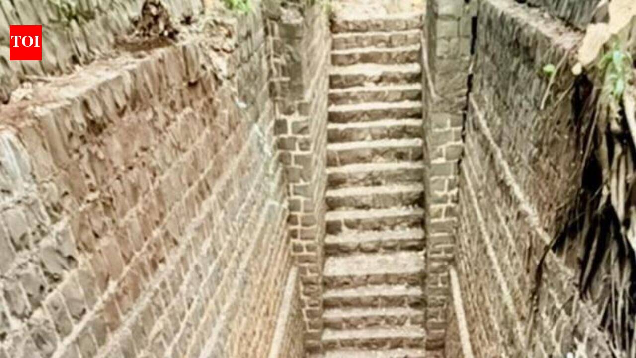 Pyaas Foundation revives 300-yr-old heritage well in Mutga, reveals ...