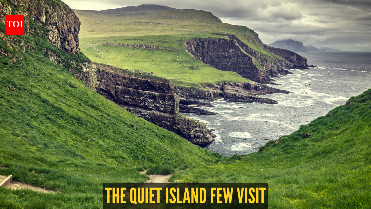 This small island in Europe has more puffins than humans and feels ...