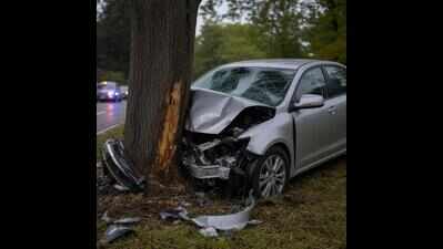 Two children among 3 killed as car crashes into tree near Sivagiri ...