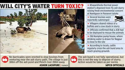 Bovines submerged in fly ash slurry after Genco releases toxic waste ...