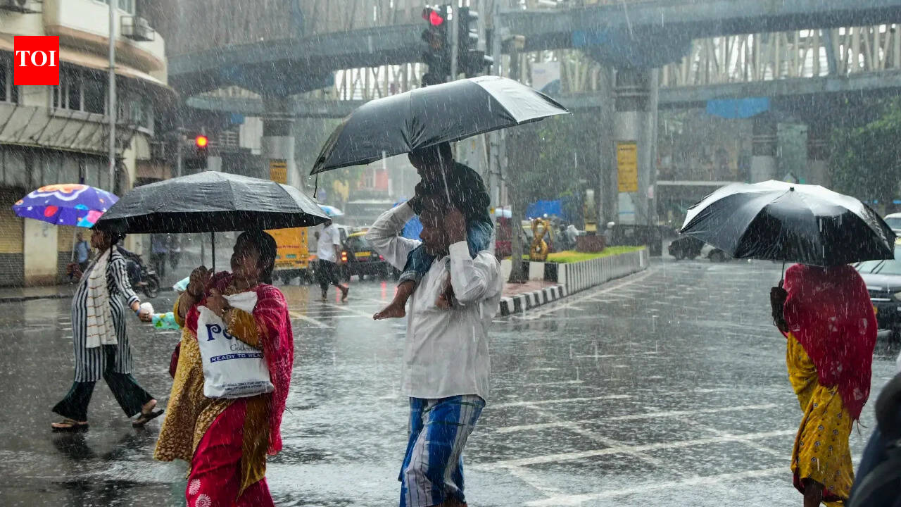 Mumbai rains surge, but lake levels barely move; water stock at 7.94% ...