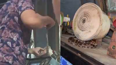 Baby python found inside locomotive of Madgaon-Mumbai Jan Shatabdi ...