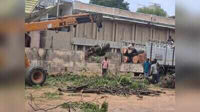 Hostel axes two trees; AMC seizes vehicle, mulls heavy fines ...