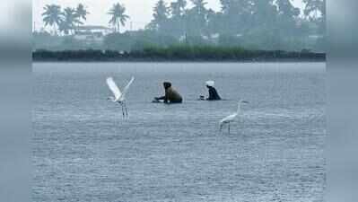 2 districts on orange alert, 8 on yellow today | Kochi News - The Times ...