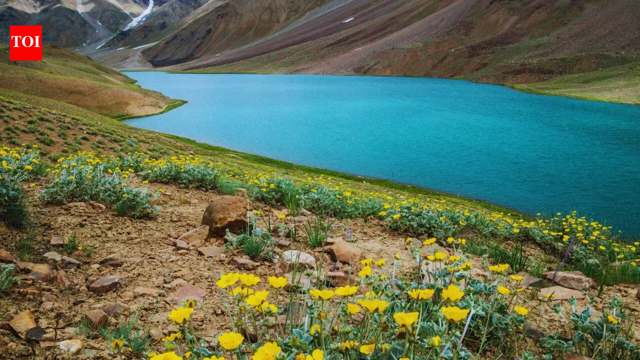 6 lakes in India with clear, mirror-like water that deserves a visit
