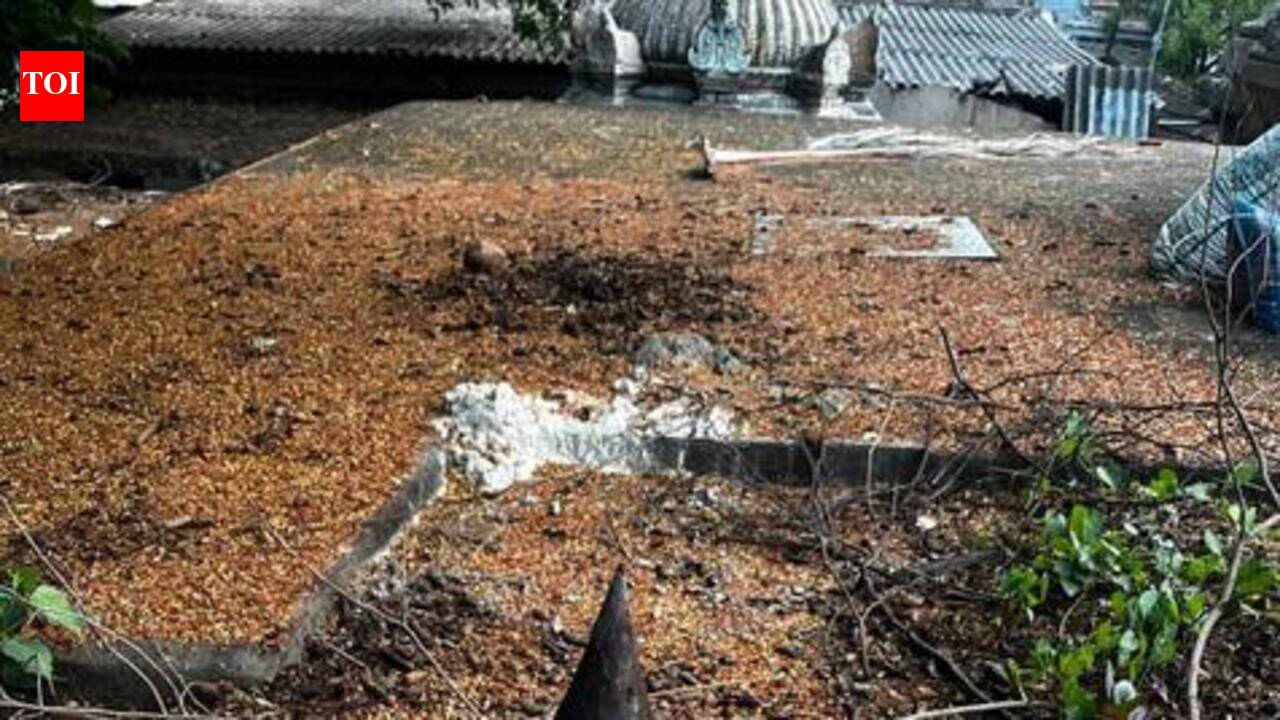 Thieves scale temple wall, steal idols in Trichy | Trichy News - The ...
