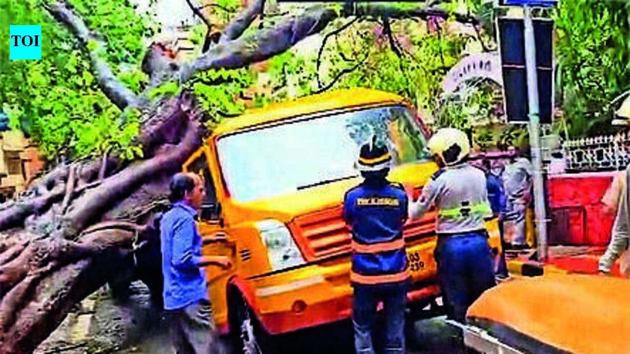 Chembur tree fall: Two boys still admitted, 2 girls discharged | Mumbai ...