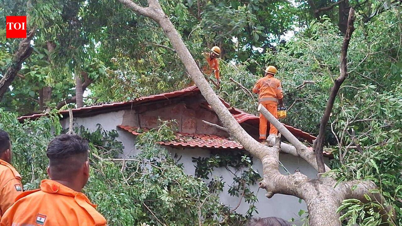 Tree crashes, blocked roads, keep fire stations on toes | Goa News ...