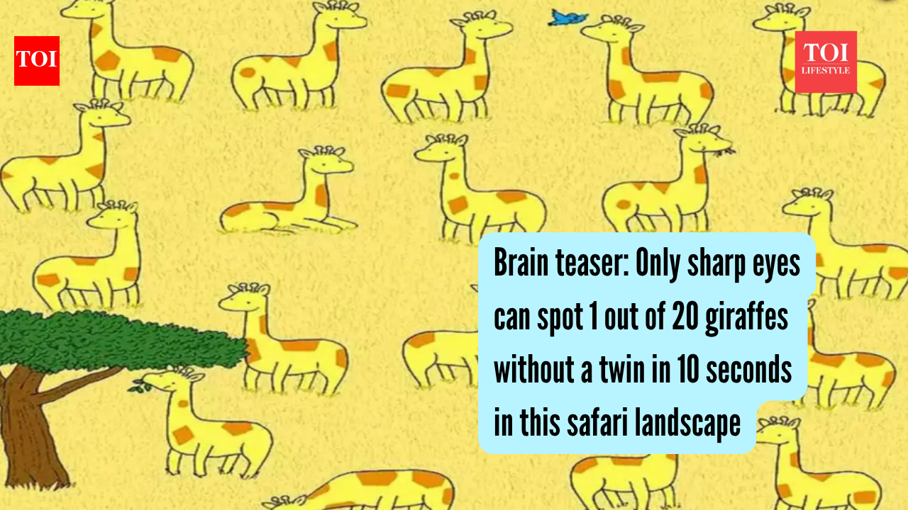 Brain teaser: Only sharp eyes can spot 1 out of 20 giraffes without a ...
