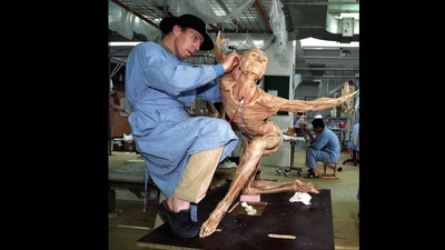 In 1977, Gunther von Hagens invented plastination to preserve human ...