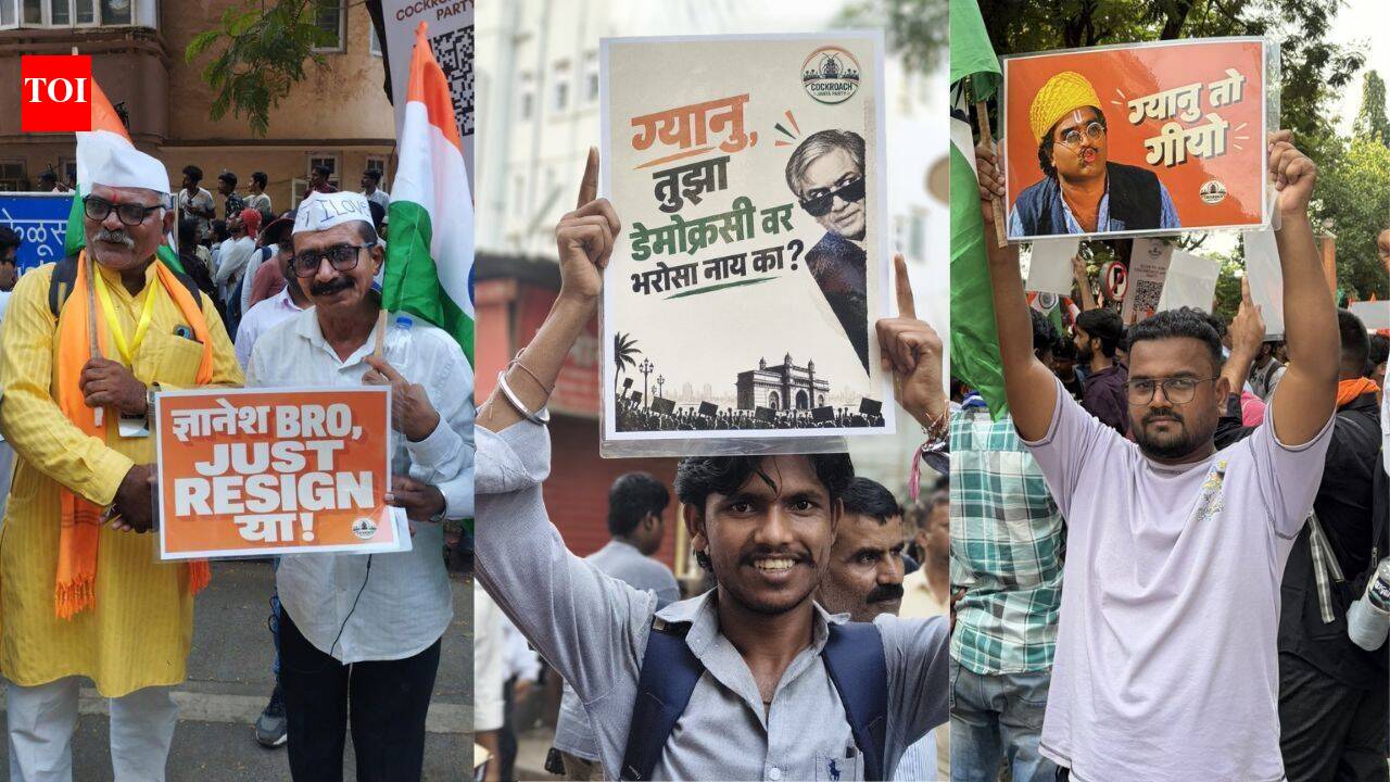‘Gyanu, just resign’: Chocolate-wrapper jewellery, memes, film ...