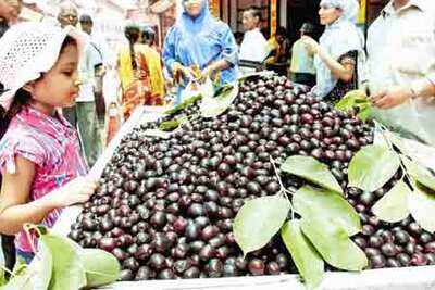 The goodness of black plum - Times of India