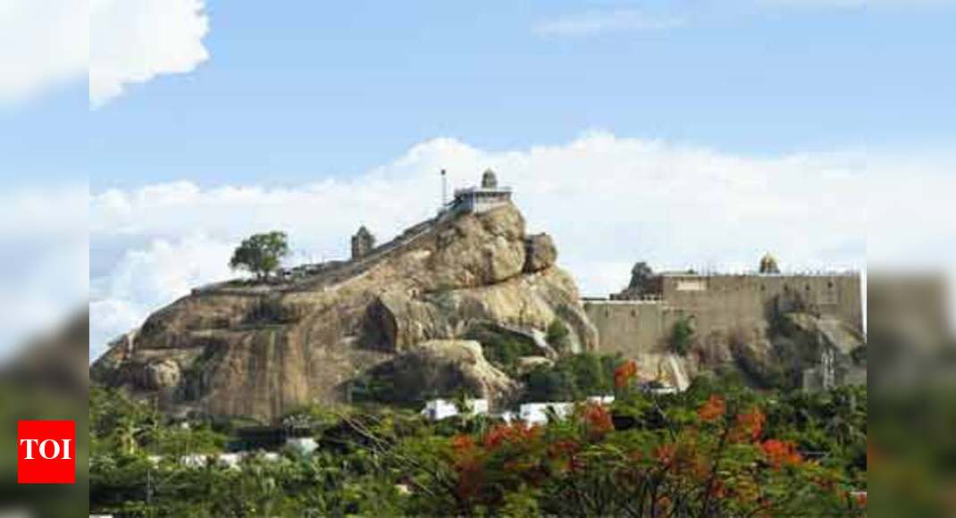 Trichy, a hub of educational institutions - Times of India