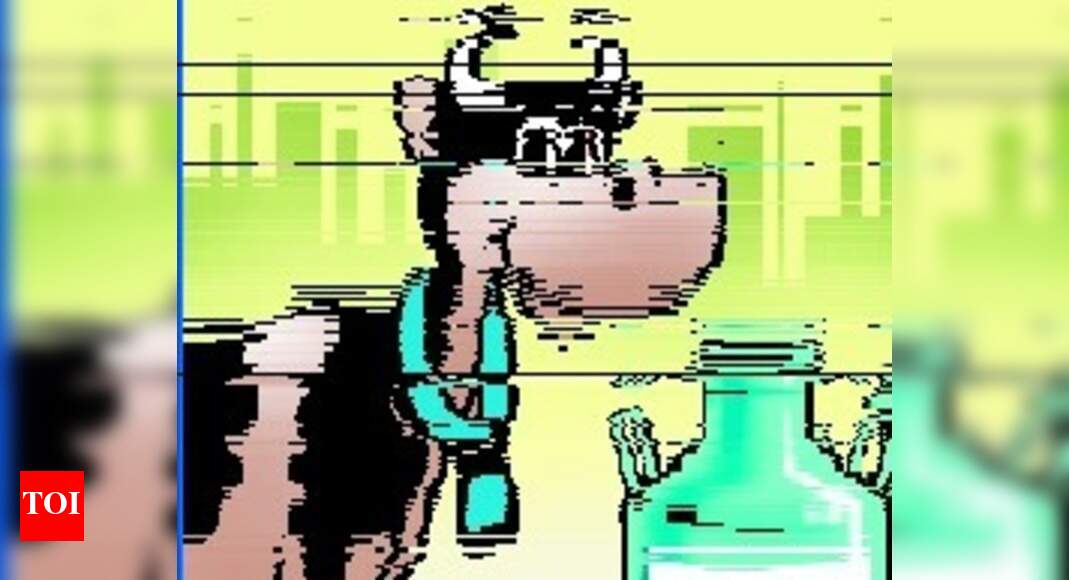 Now, genetically modified cow that provides 'low allergy' milk - Times ...