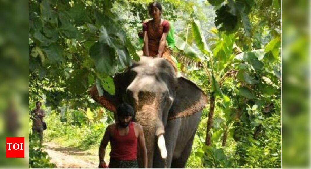 Kumki is still in the race | Tamil Movie News - Times of India