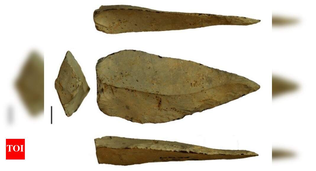 University Of Cape Town: Man began spear-hunting 200,000 years earlier ...